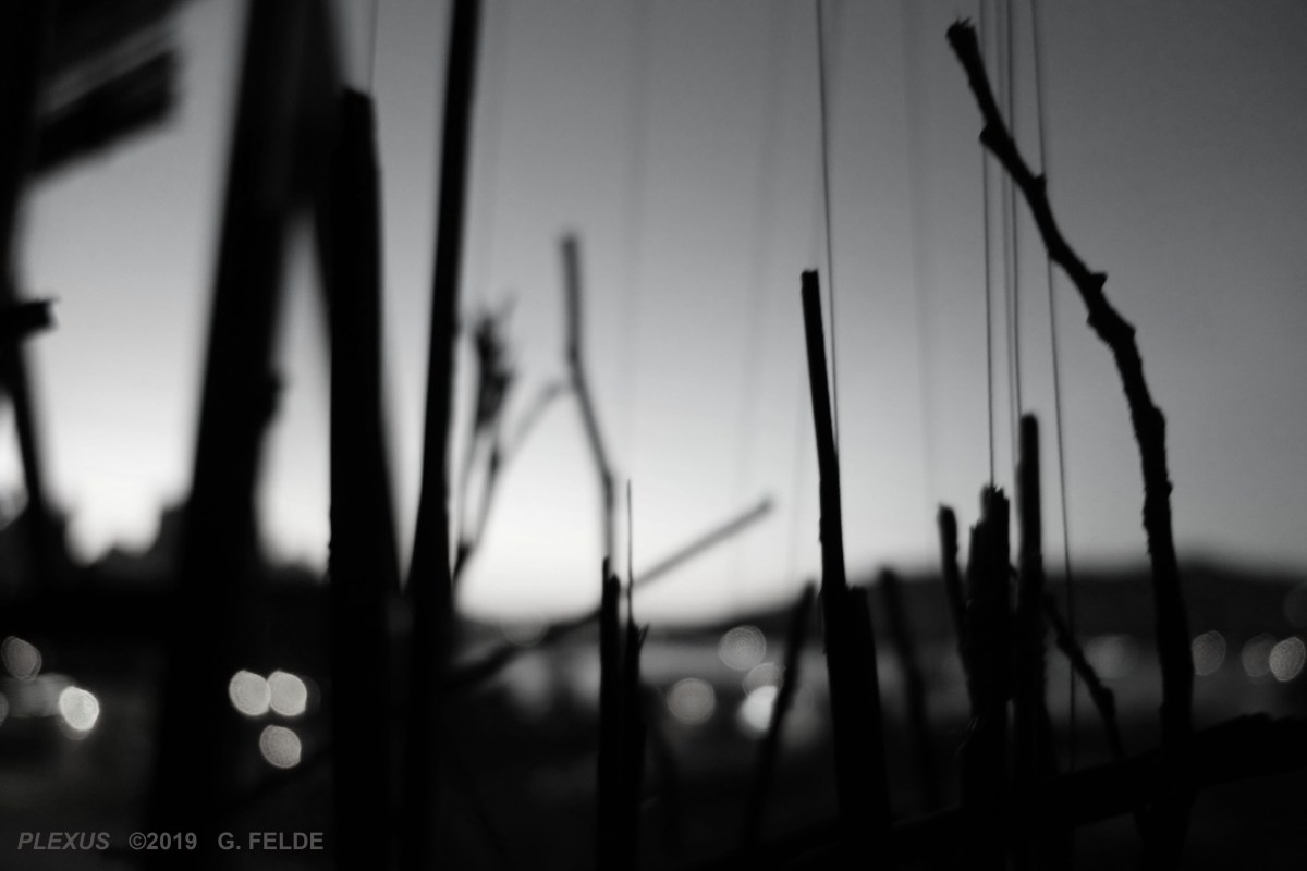 Exhibits – Galen Felde